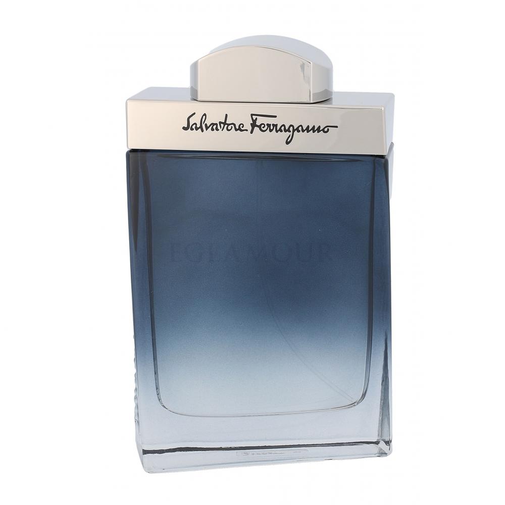 Ferragamo Subtil Pour Homme Woda toaletowa dla mężczyzn 100 ml ...