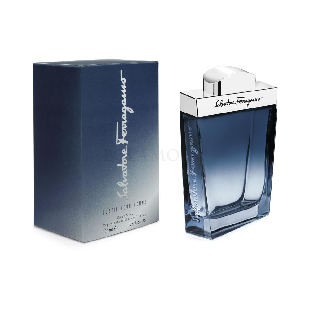 Ferragamo Subtil Pour Homme Woda toaletowa dla mężczyzn 100 ml ...