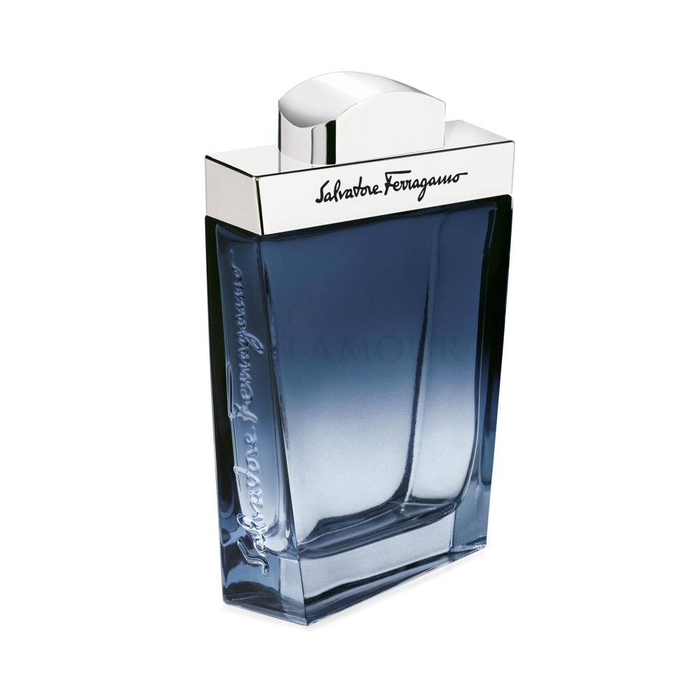 Ferragamo Subtil Pour Homme Woda toaletowa dla mężczyzn 100 ml ...